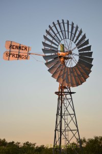 The glories of Renner Springs: travelling south mid-June – Family ...