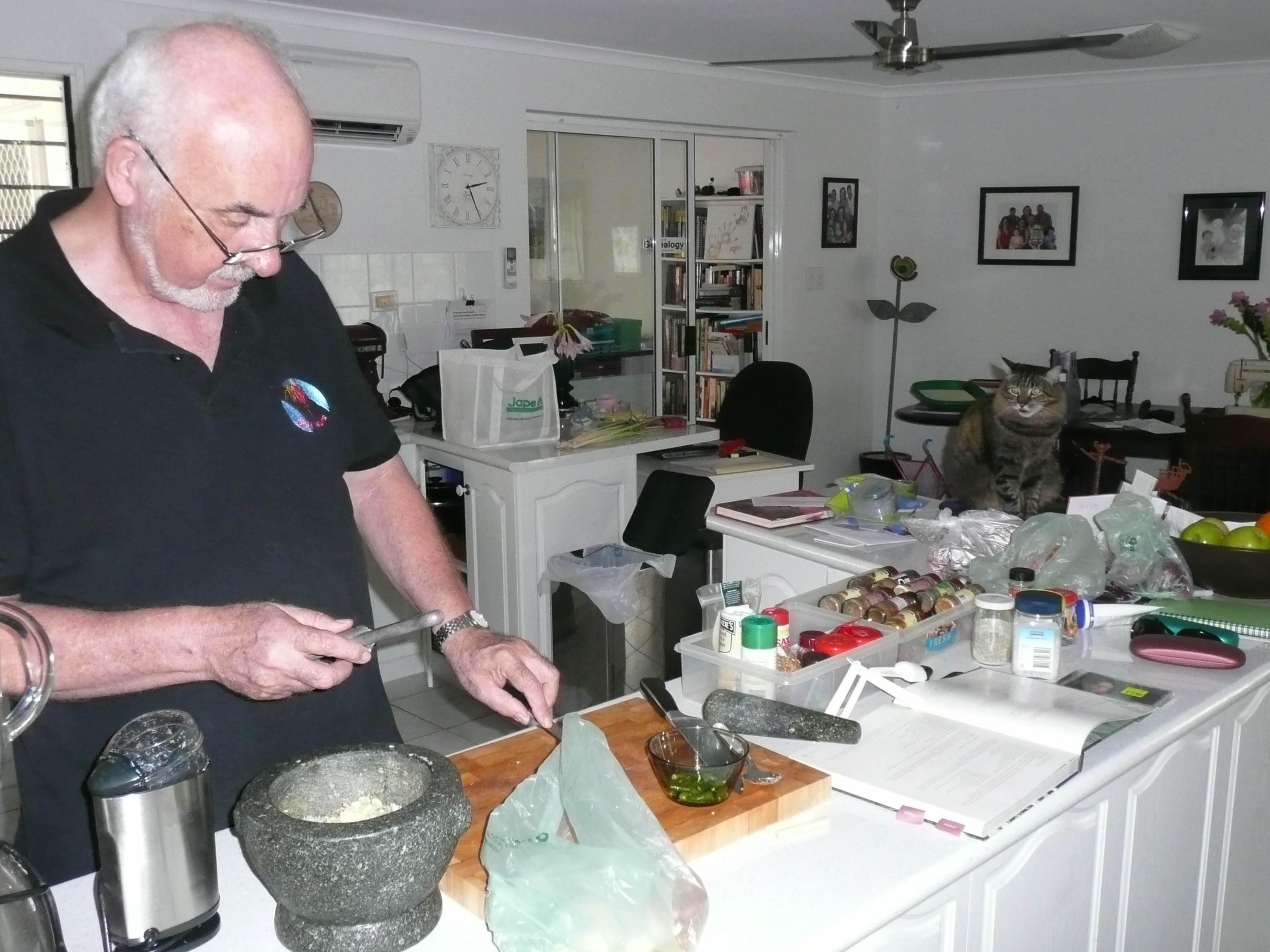 A tribute to Sir Springer the cat – Family history across the seas