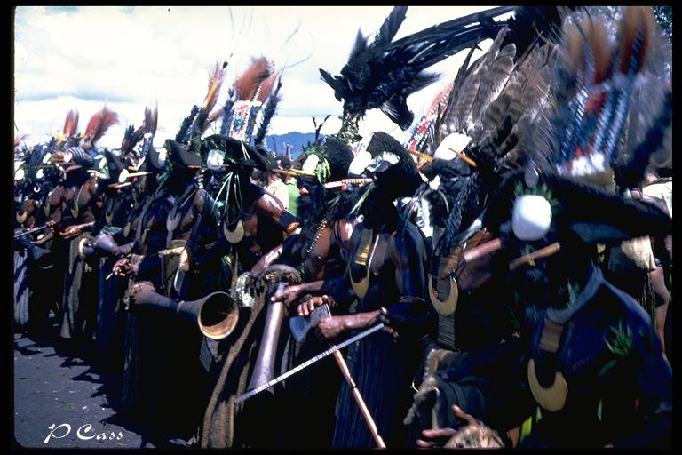 Highlands Warriors – Family history across the seas